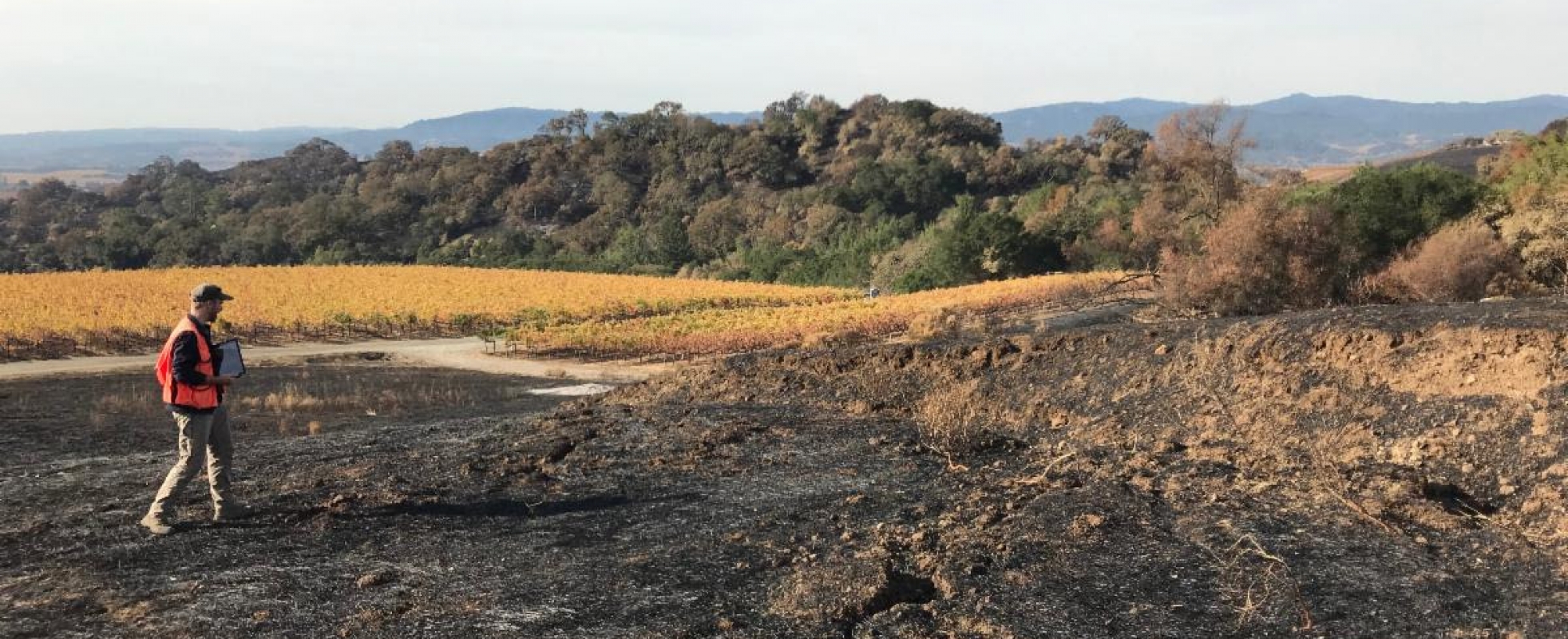 How Does Wildfire Impact Soil Health? | Fire Safe Sonoma